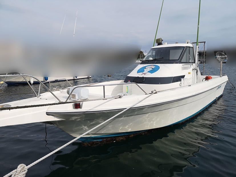 YAMAHA UF-25 STERN DRIVE Used Boat for Sale in Japan | Boatflow.jp